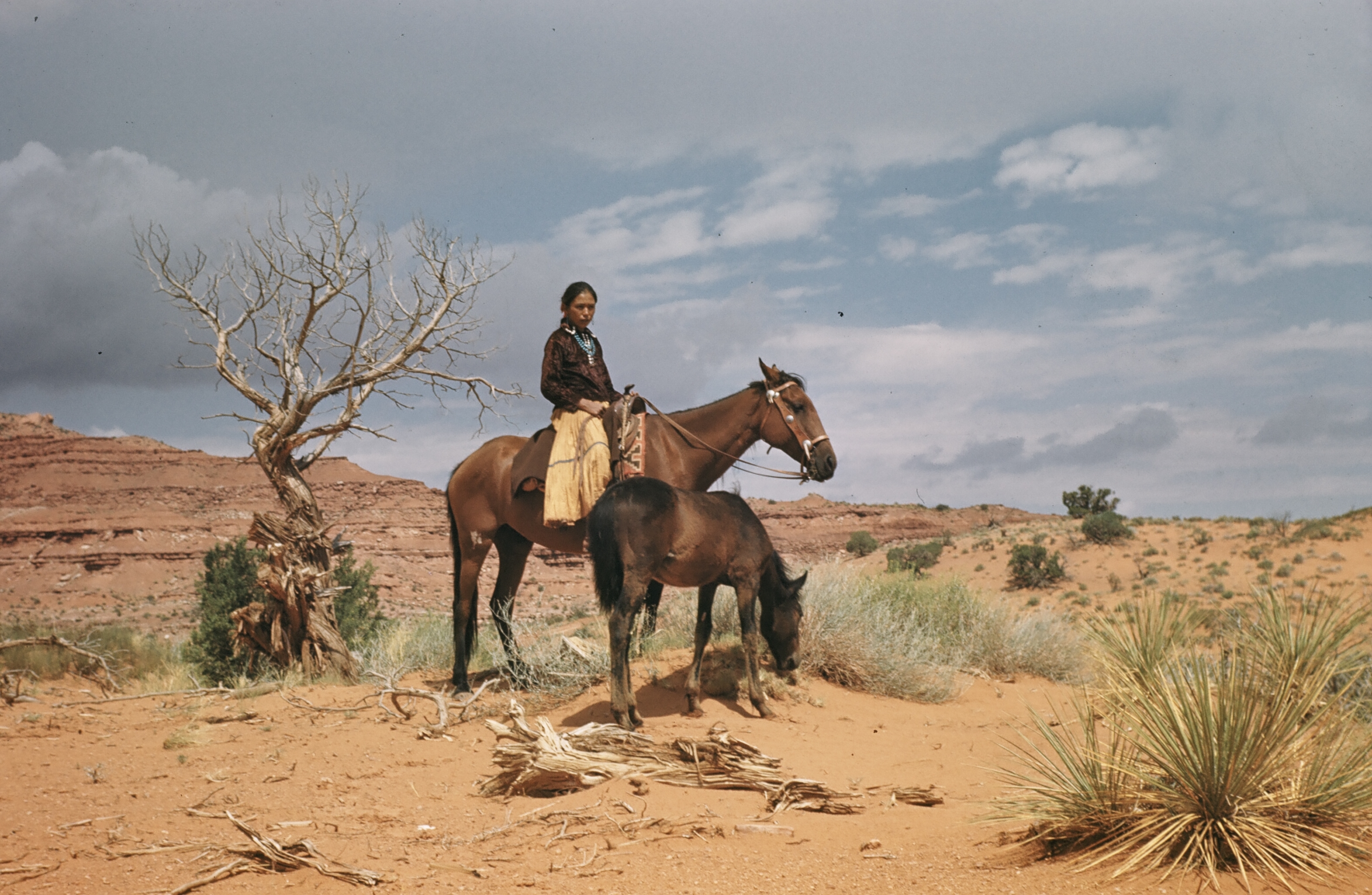 Image 43 – Navajo Person – The ONWARD Project Stories