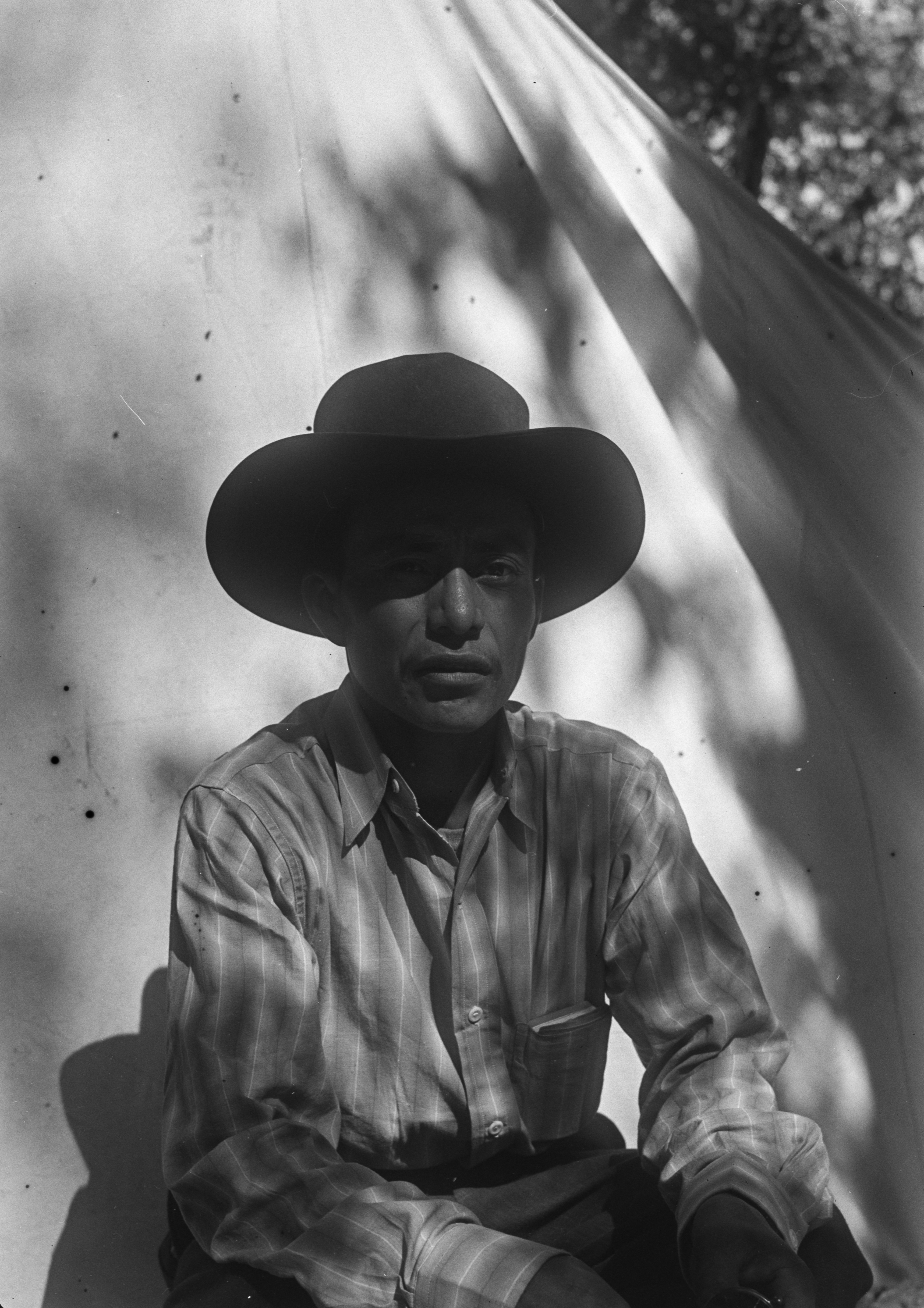 Image 75 – The ONWARD Project Stories