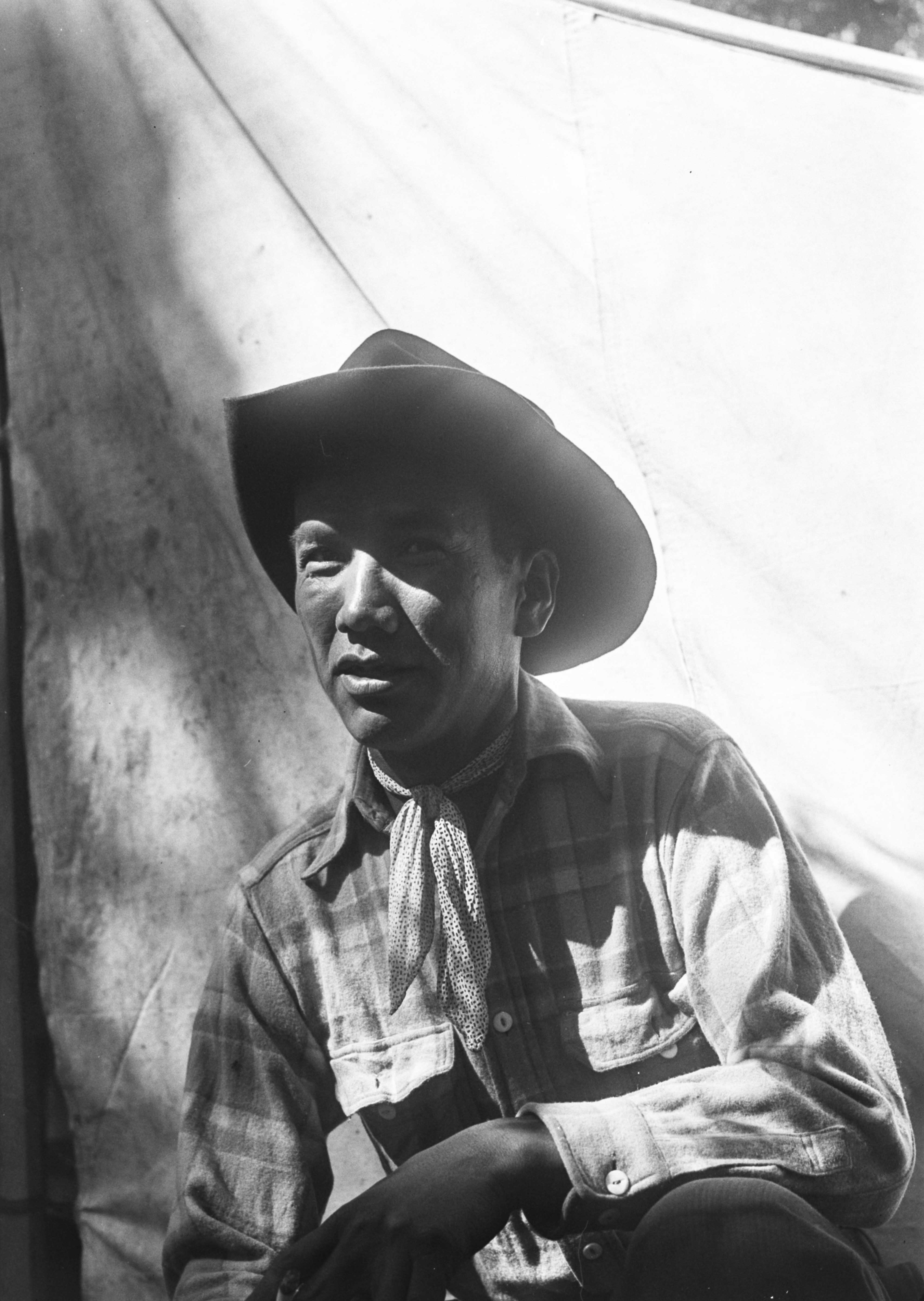 Image 76 – The ONWARD Project Stories