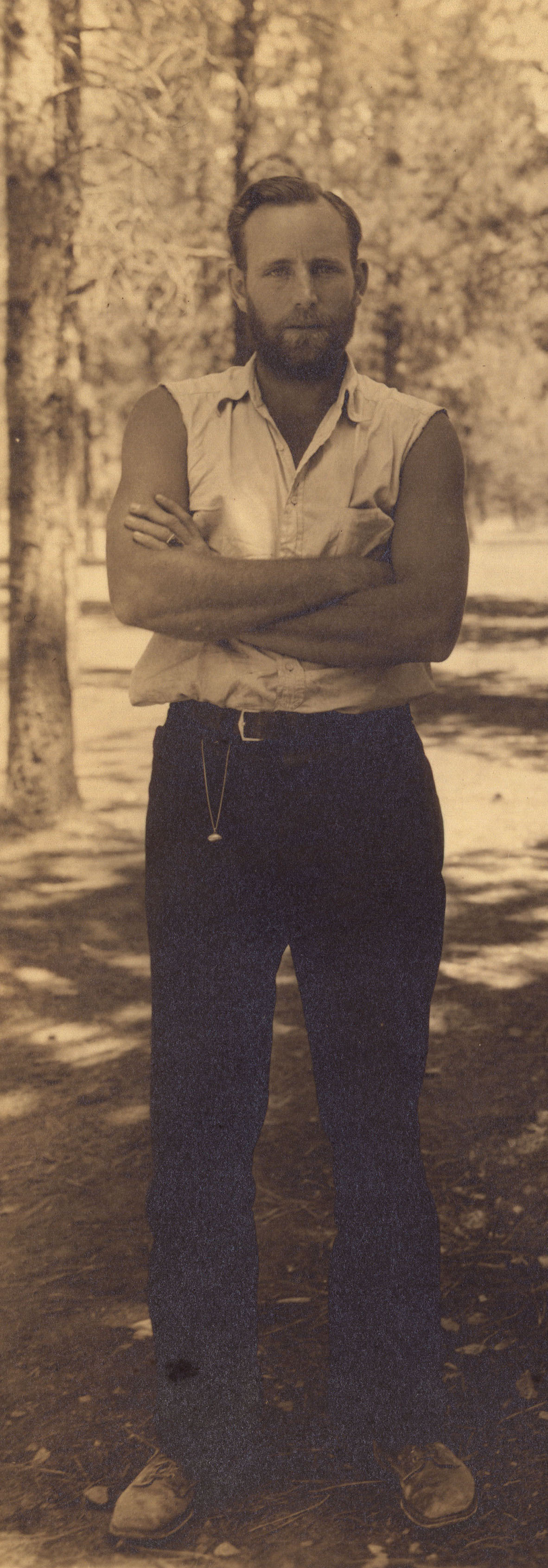 Image 222 – The ONWARD Project Stories