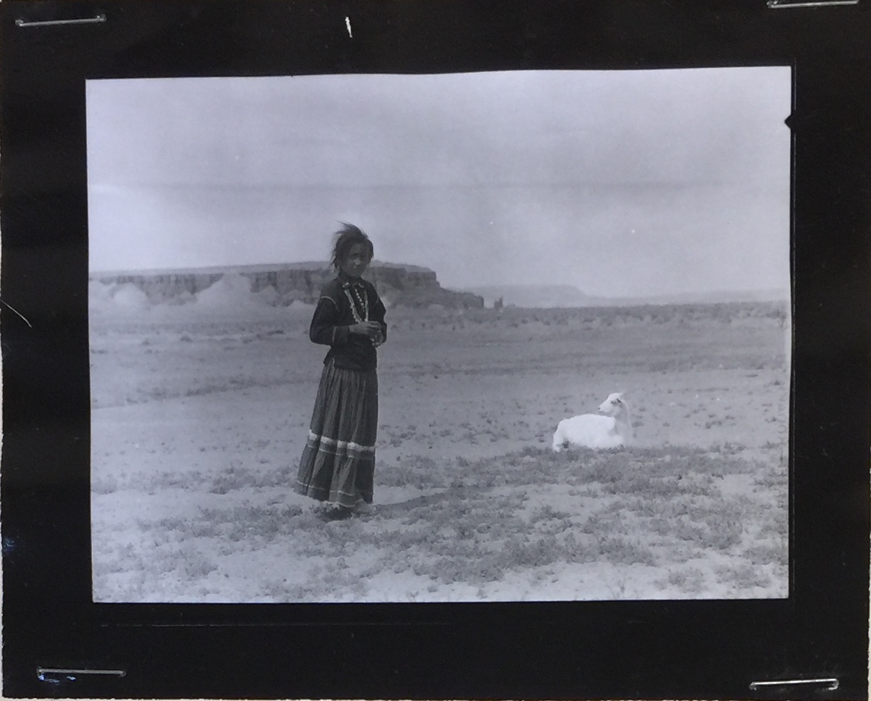 Image 310 – The ONWARD Project Stories